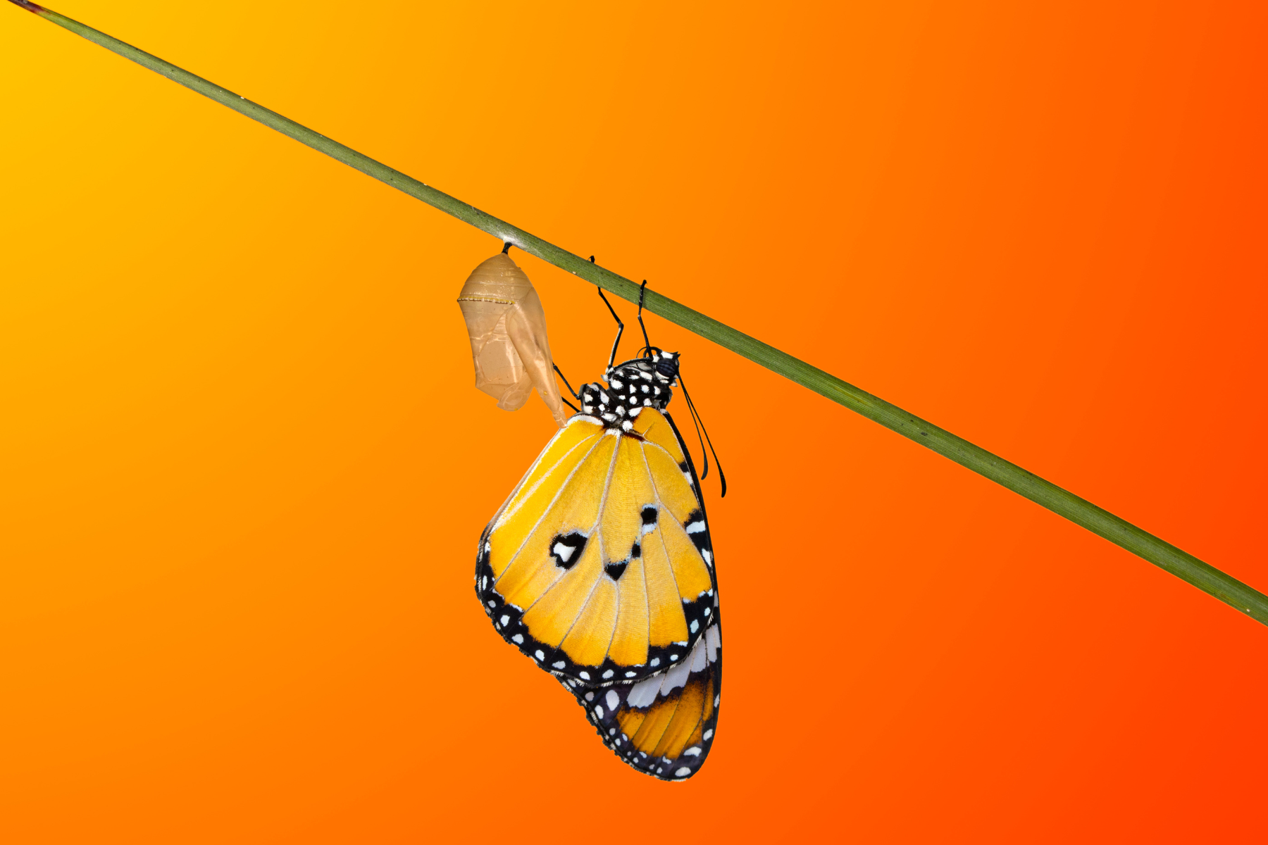 Impact Tour: Transform – ImpactU xStream